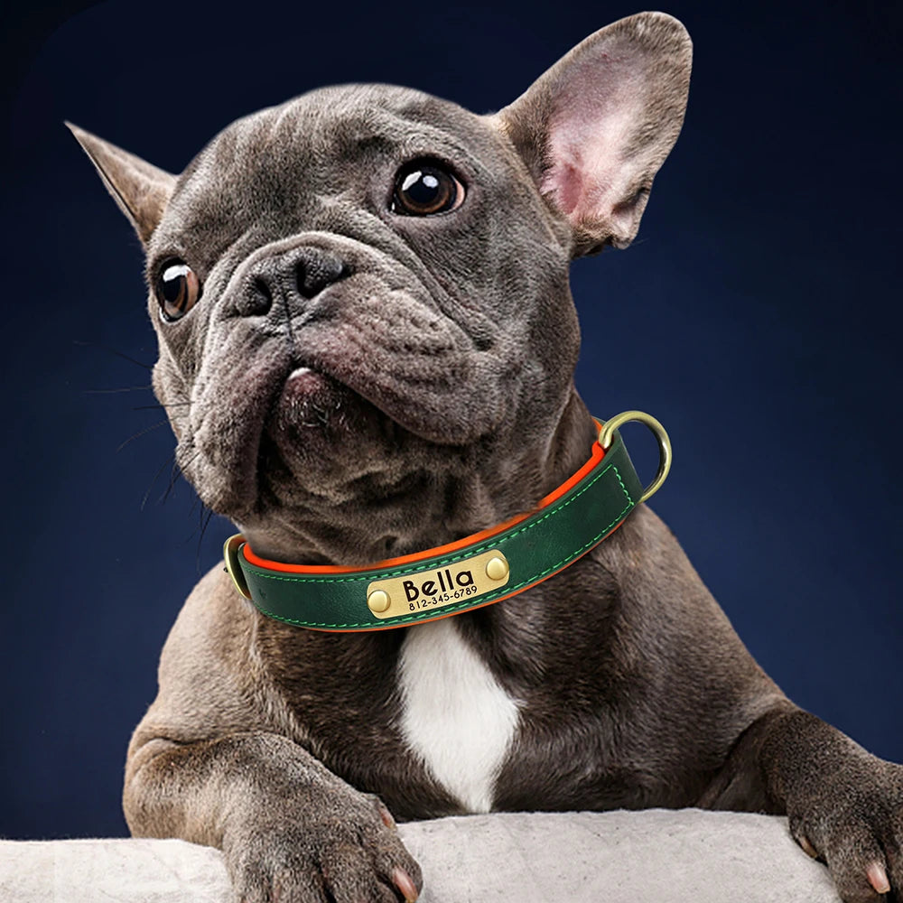 Collar Call – Petrichor Pet