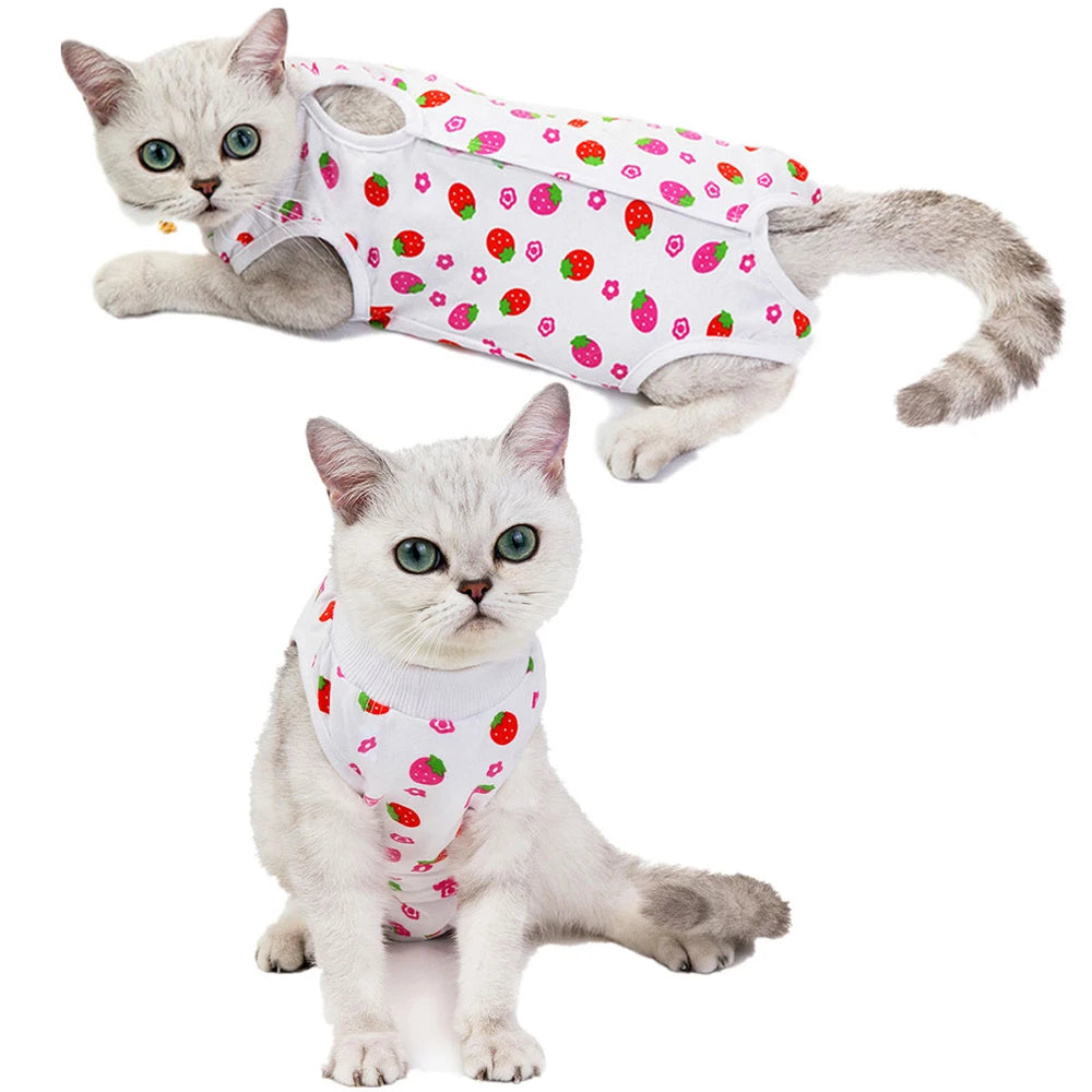 Sprinkle Kitty – Petrichor Pet