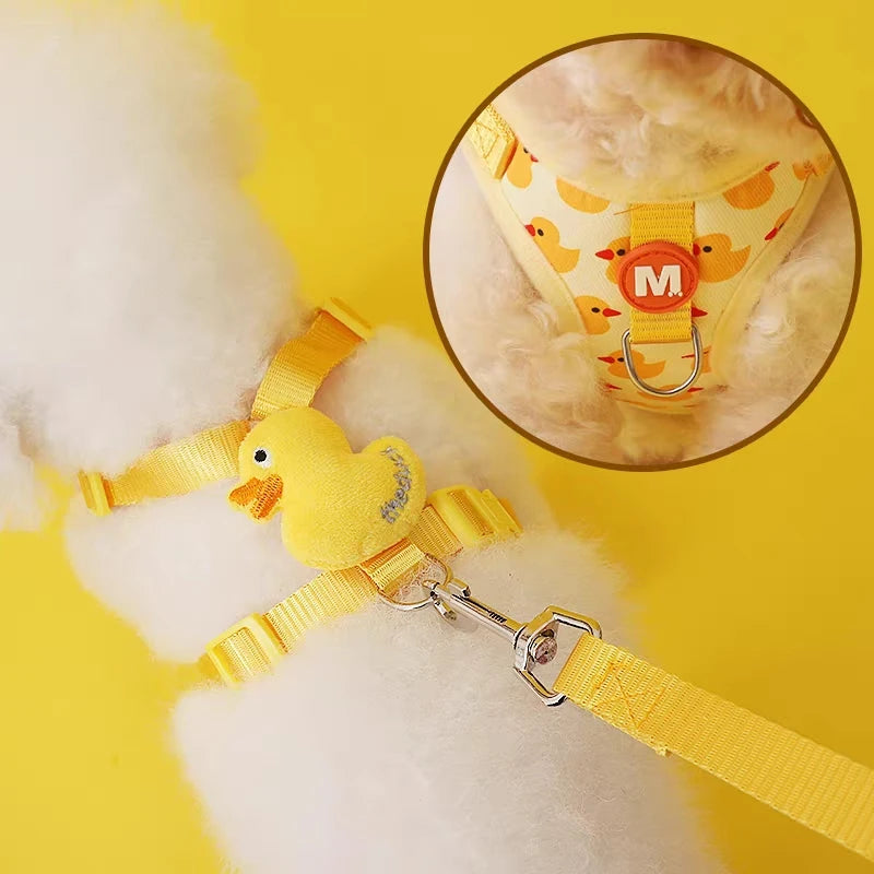 QuackWalk – Petrichor Pet
